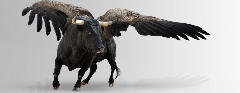 O boi voador | Site de Roberto Tranjan